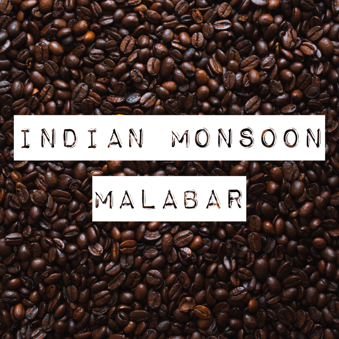 Indian Monsoon Malabar – Greencastle Coffee Roasters