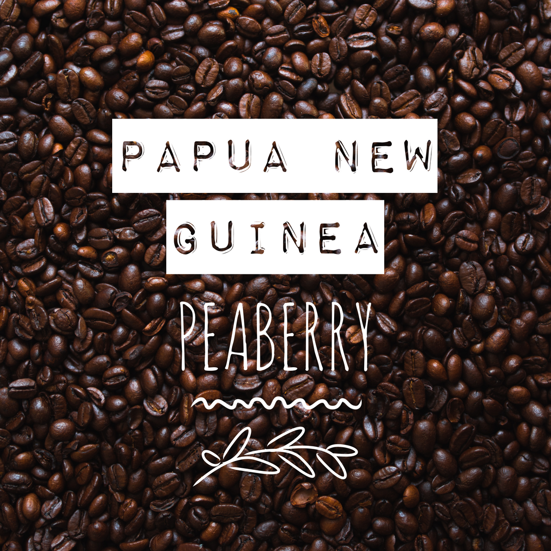 Papua New Guinea Peaberry – Greencastle Coffee Roasters