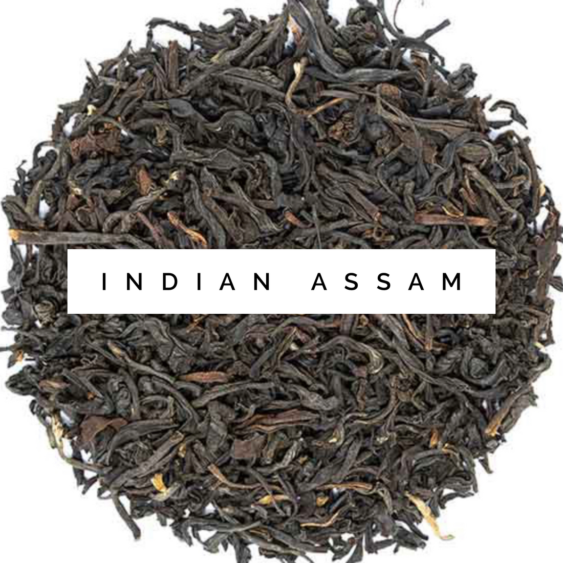 Indian Assam – Greencastle Coffee Roasters