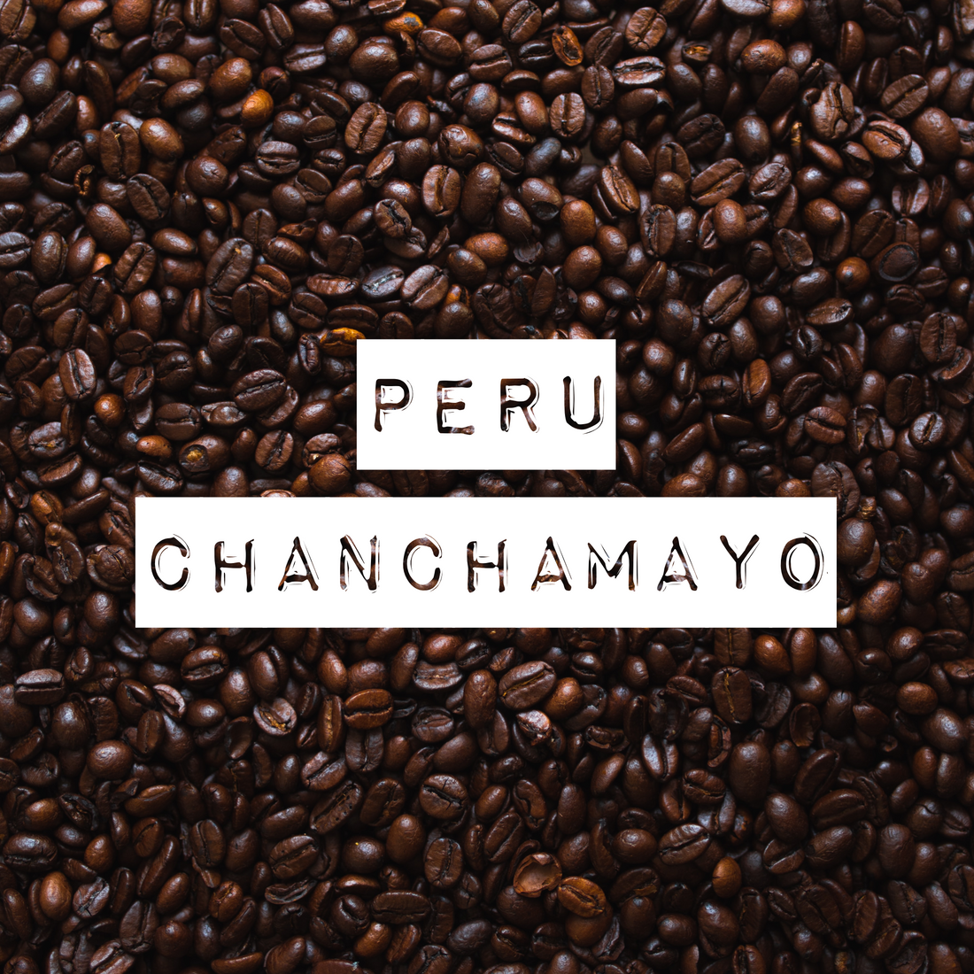 Peru Chanchamayo – Greencastle Coffee Roasters