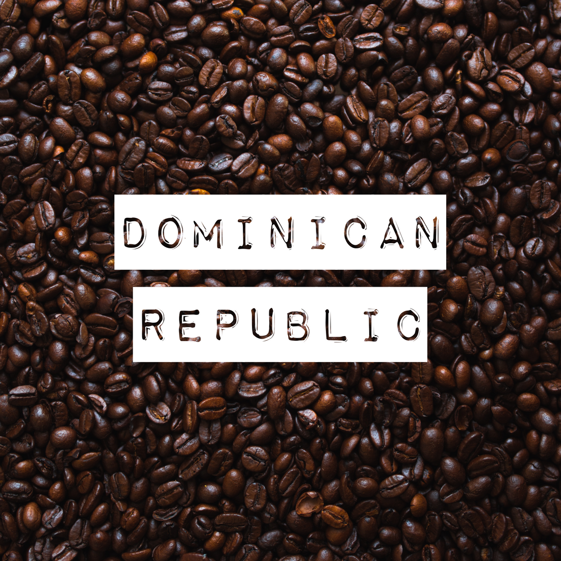 Dominican Republic – Greencastle Coffee Roasters